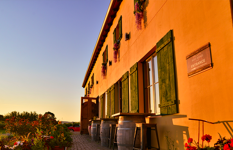 Our Story - Bent Ridge Winery