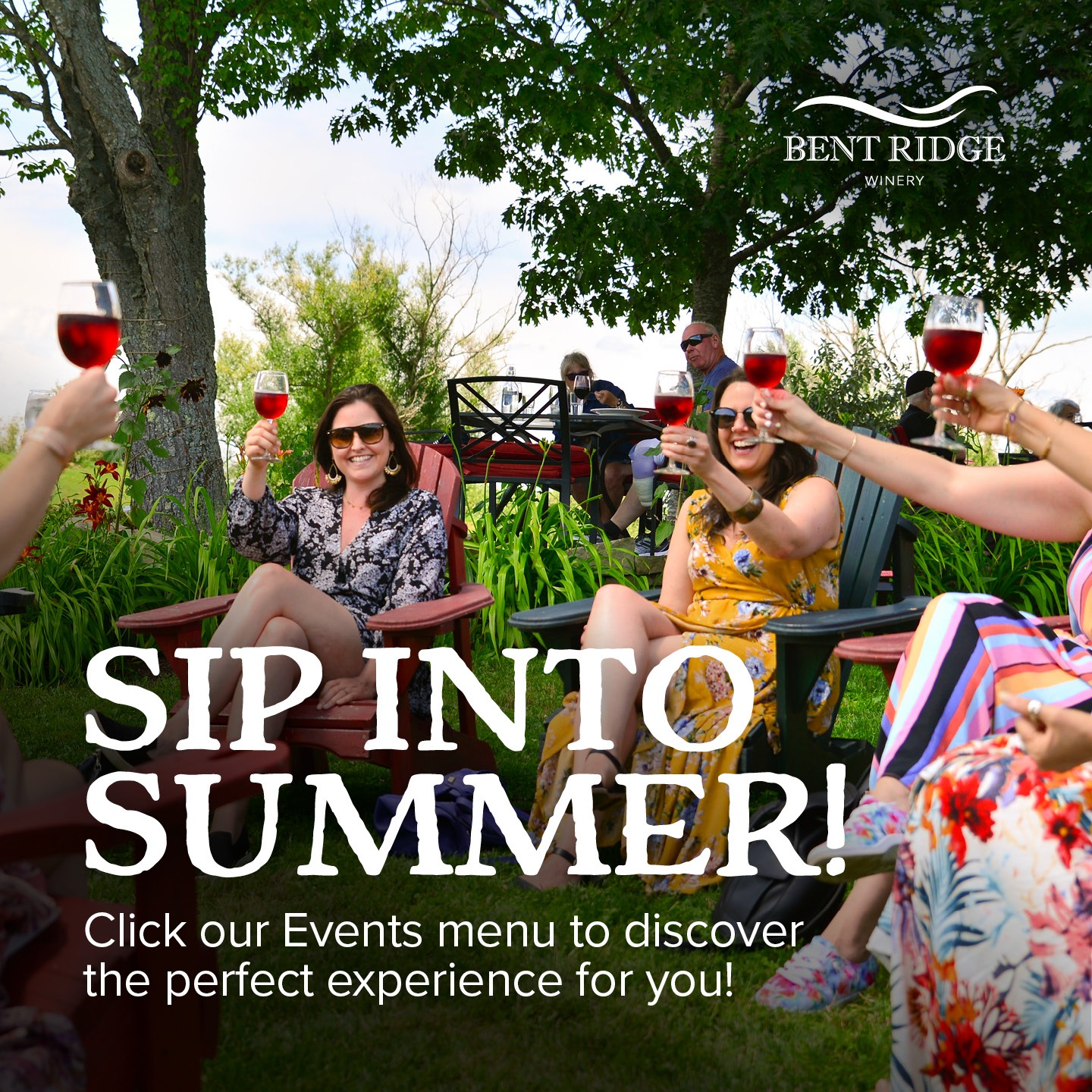 Bent Ridge Winery - Bent Ridge Winery