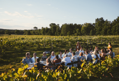 Bent Ridge Winery - Bent Ridge Winery